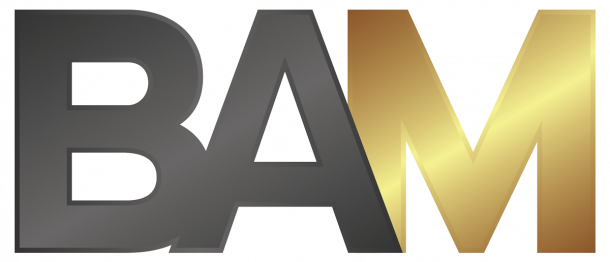 What is BAMx? - BAM